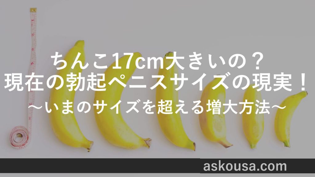 ちんこ17cmて大きいの？勃起ペニスサイズ17cmの現実！ | イチモツLab | イケオジの嗜み